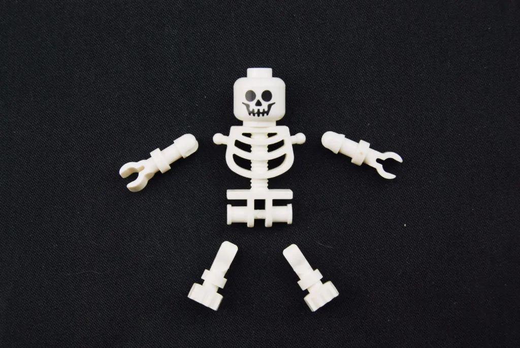 Origins: LEGO Skeletons