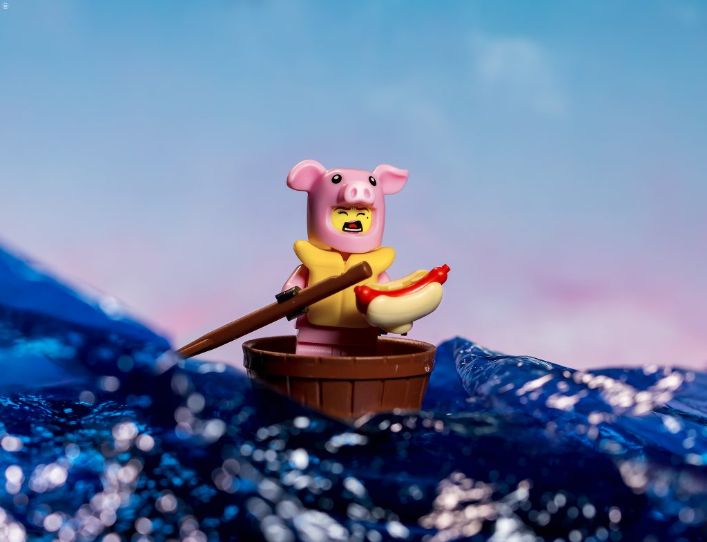 Brick Pig do Dia: seul en mer