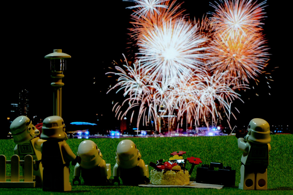 Brick Pic of the Day: Enjoying the fireworks