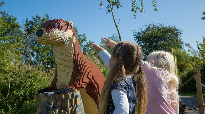 Jejak haiwan bata LEGO kembali ke Castle Espie