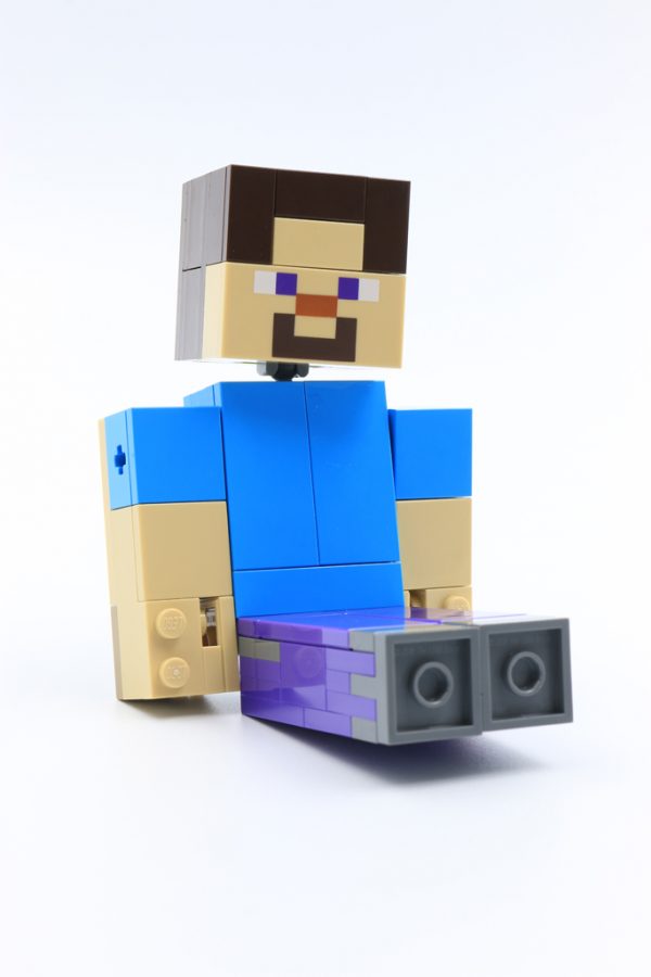 LEGO Minecraft 21148 Steve BigFig with Parrot review