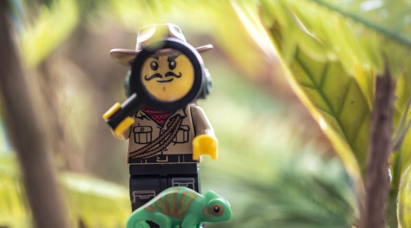 Brick Pic of the Day: In search of the elusive LEGO chameleon