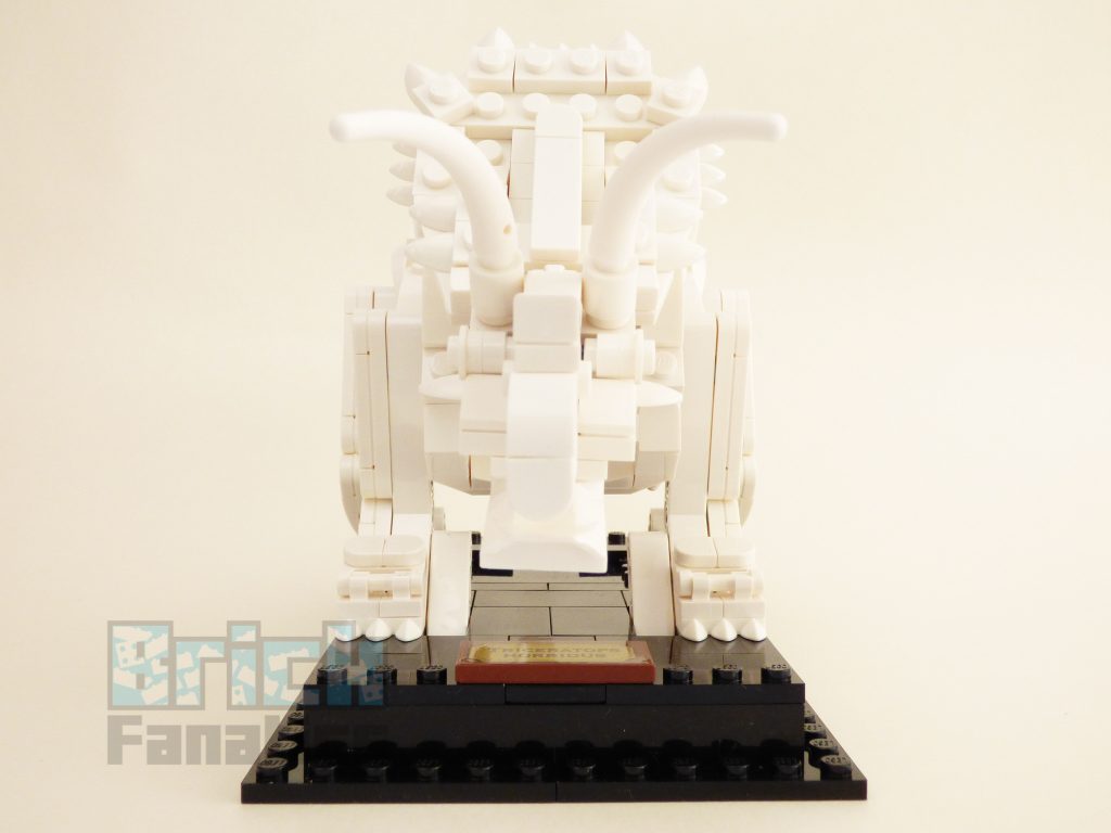 LEGO Ideas 21320 Dinosaur Fossils review