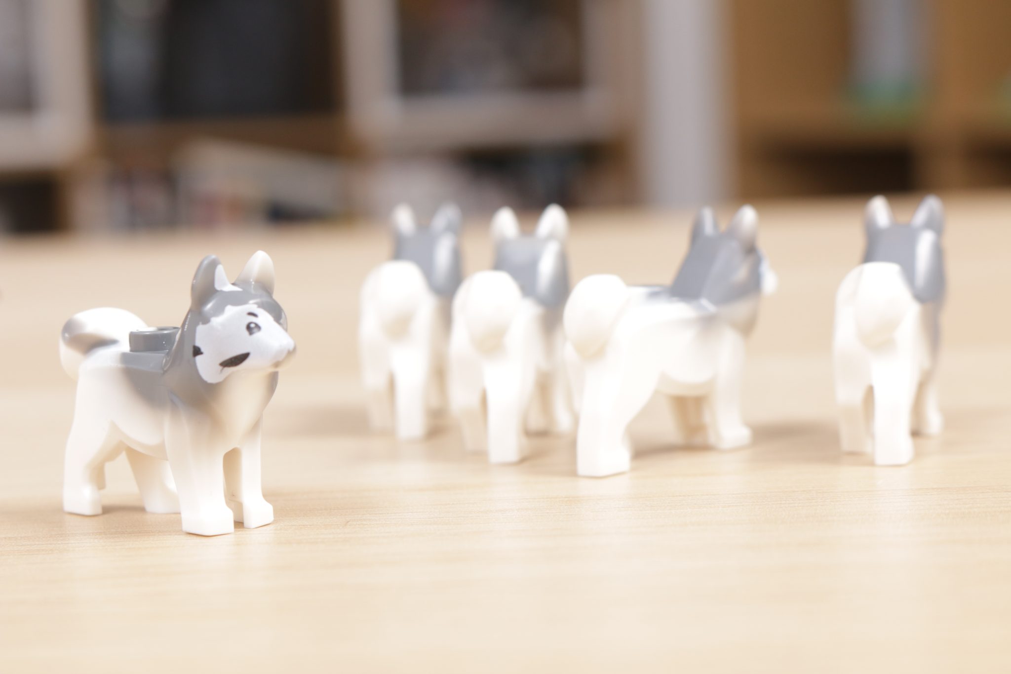 WIN rare misprinted LEGO Husky dog piece with Brick Fanatics