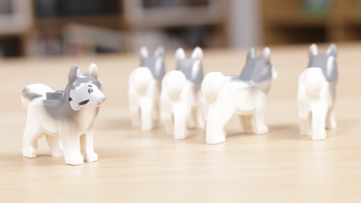 VIDEO: You really need to look at this LEGO dog right now