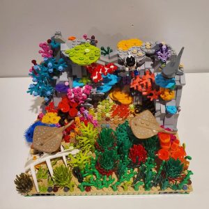 Marine biology expertise takes LEGO reef from good to great