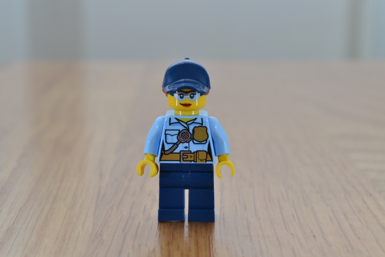 LEGO City 60369 Mobile Police Dog Training review