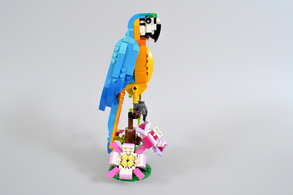 LEGO Creator 3-in-1 31136 Exotic Parrot review and gallery