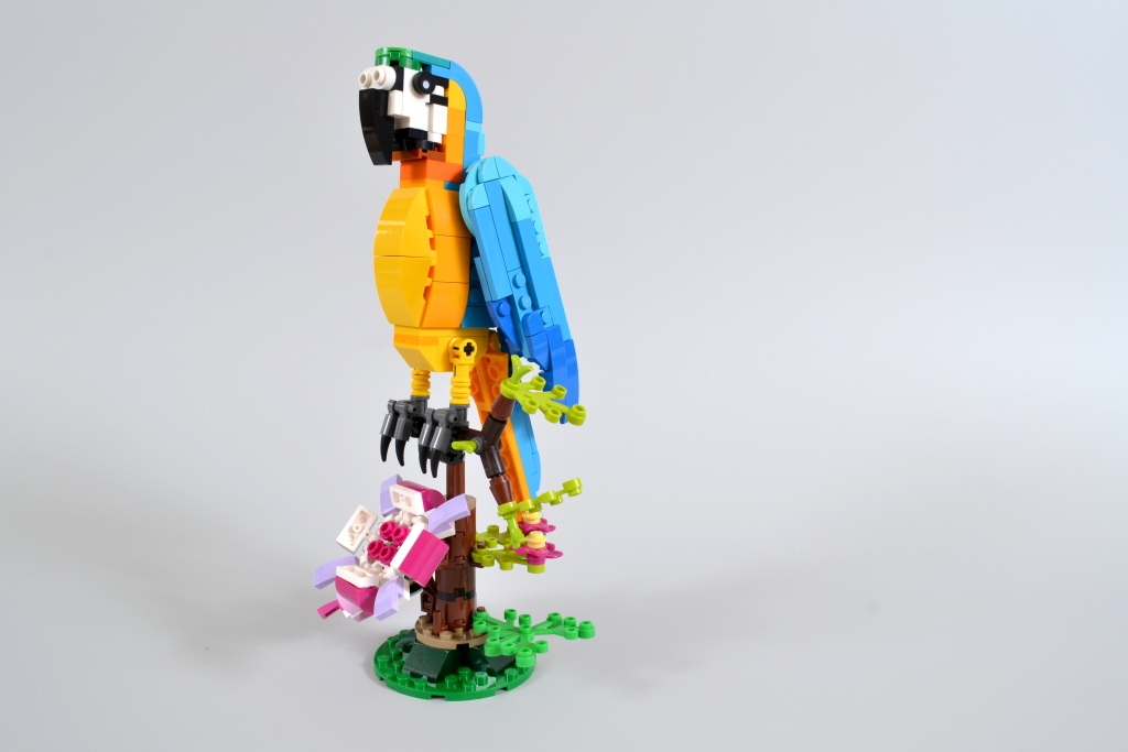 LEGO Creator 3-in-1 31136 Exotic Parrot review and gallery