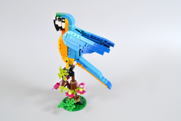 LEGO Creator 3-in-1 31136 Exotic Parrot review and gallery