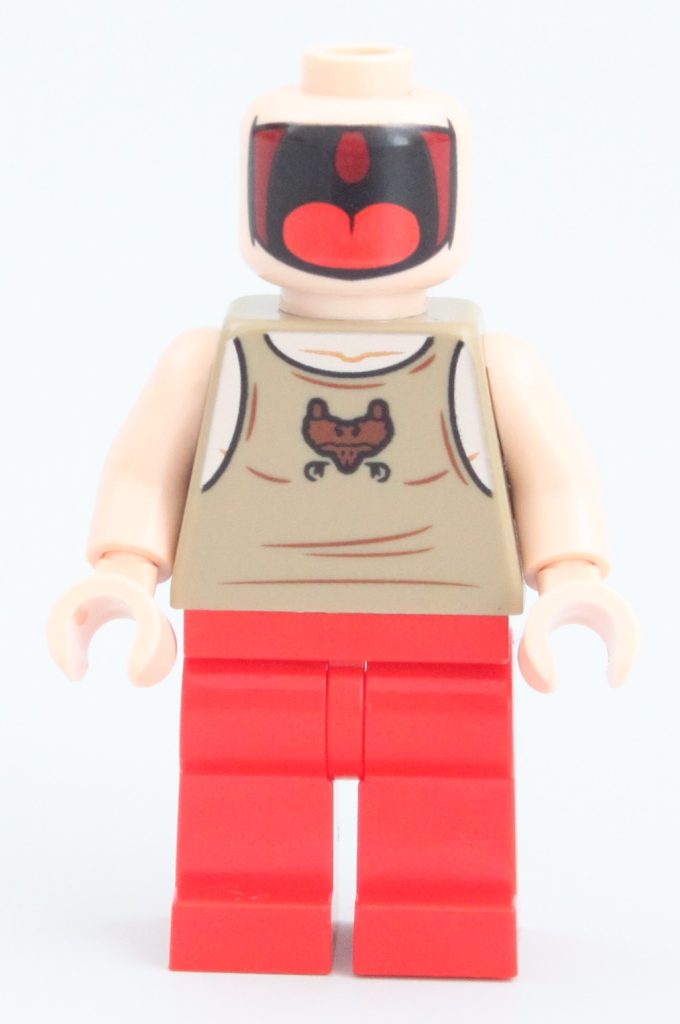 LEGO 76420 Triwizard Tournament: The Black Lake review