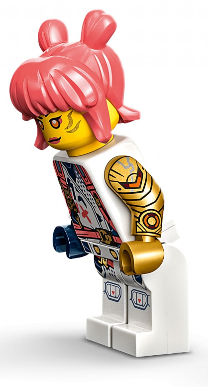 LEGO NINJAGO City minifigure collections are almost complete