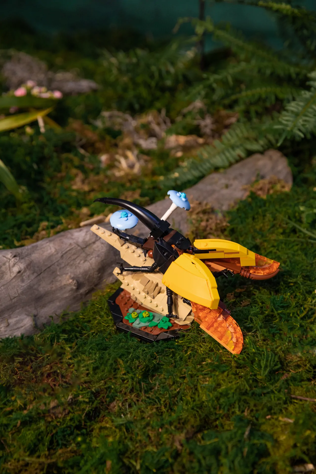 LEGO Ideas 21342 The Insect Collection revealed