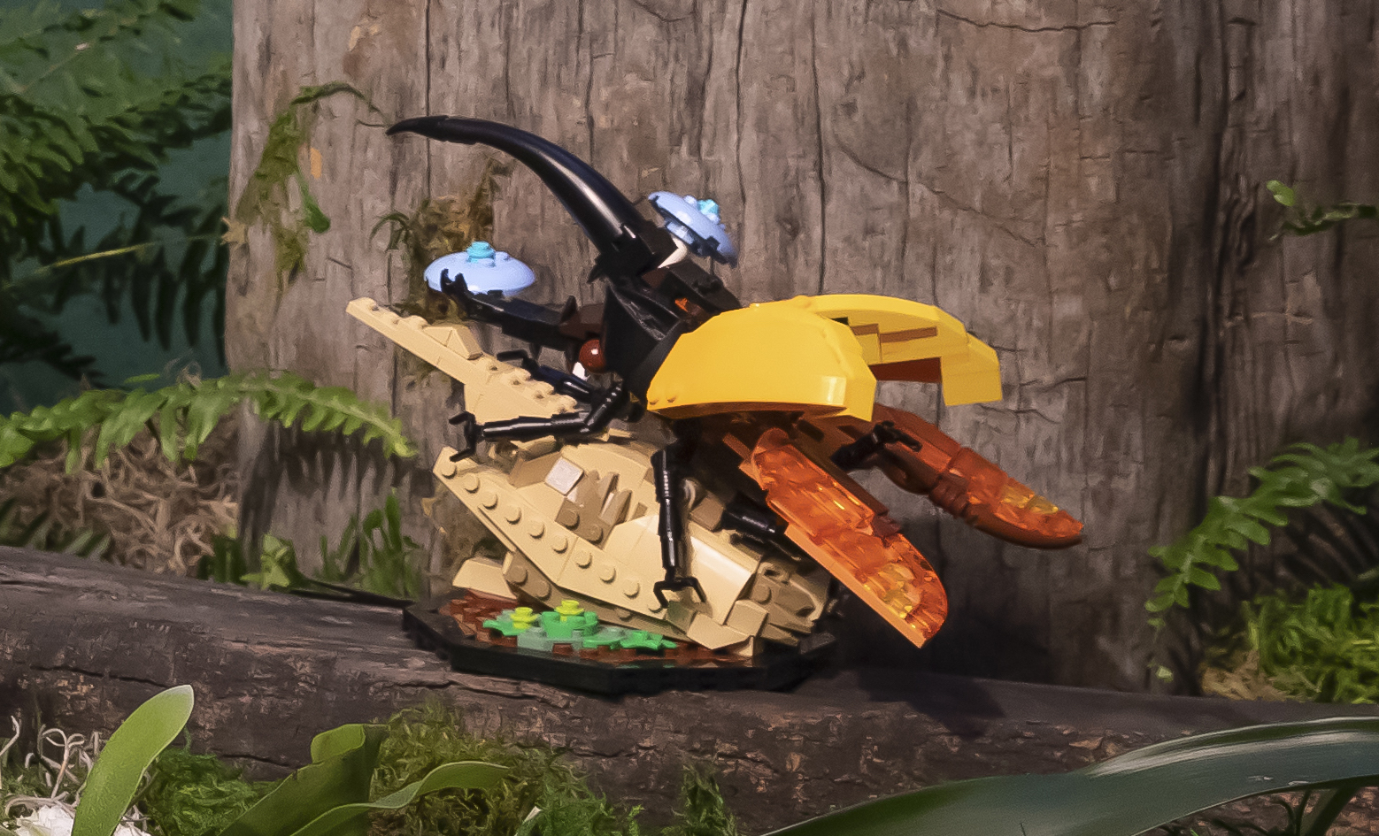 Five differences between LEGO Ideas 21342 The Insect Collection and the ...