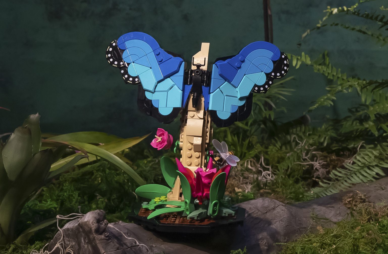 Five differences between LEGO Ideas 21342 The Insect Collection and the ...