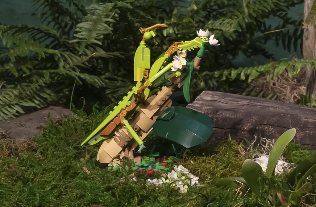 Five differences between LEGO Ideas 21342 The Insect Collection and the ...