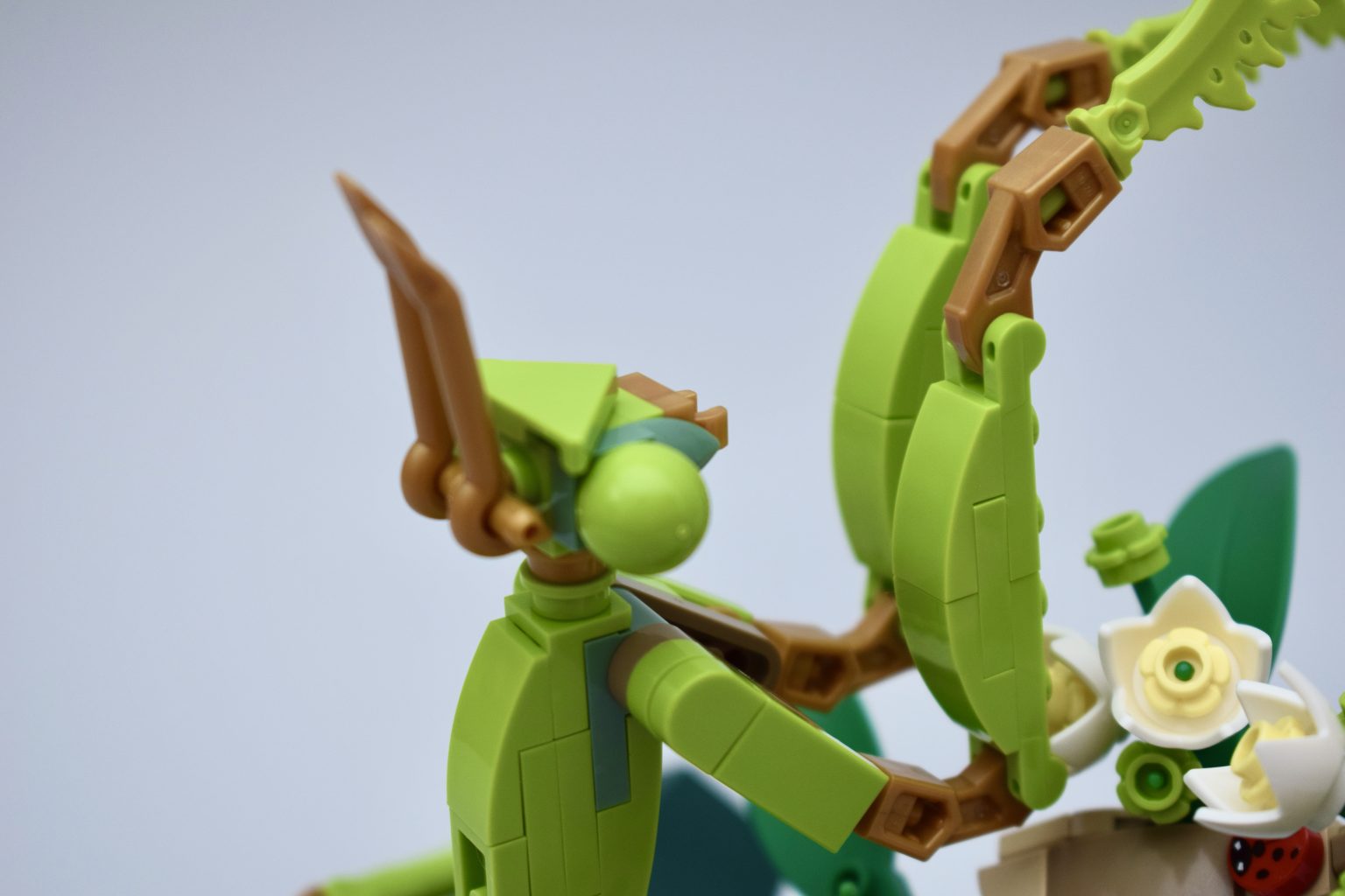 LEGO Ideas 21342 The Insect Collection review