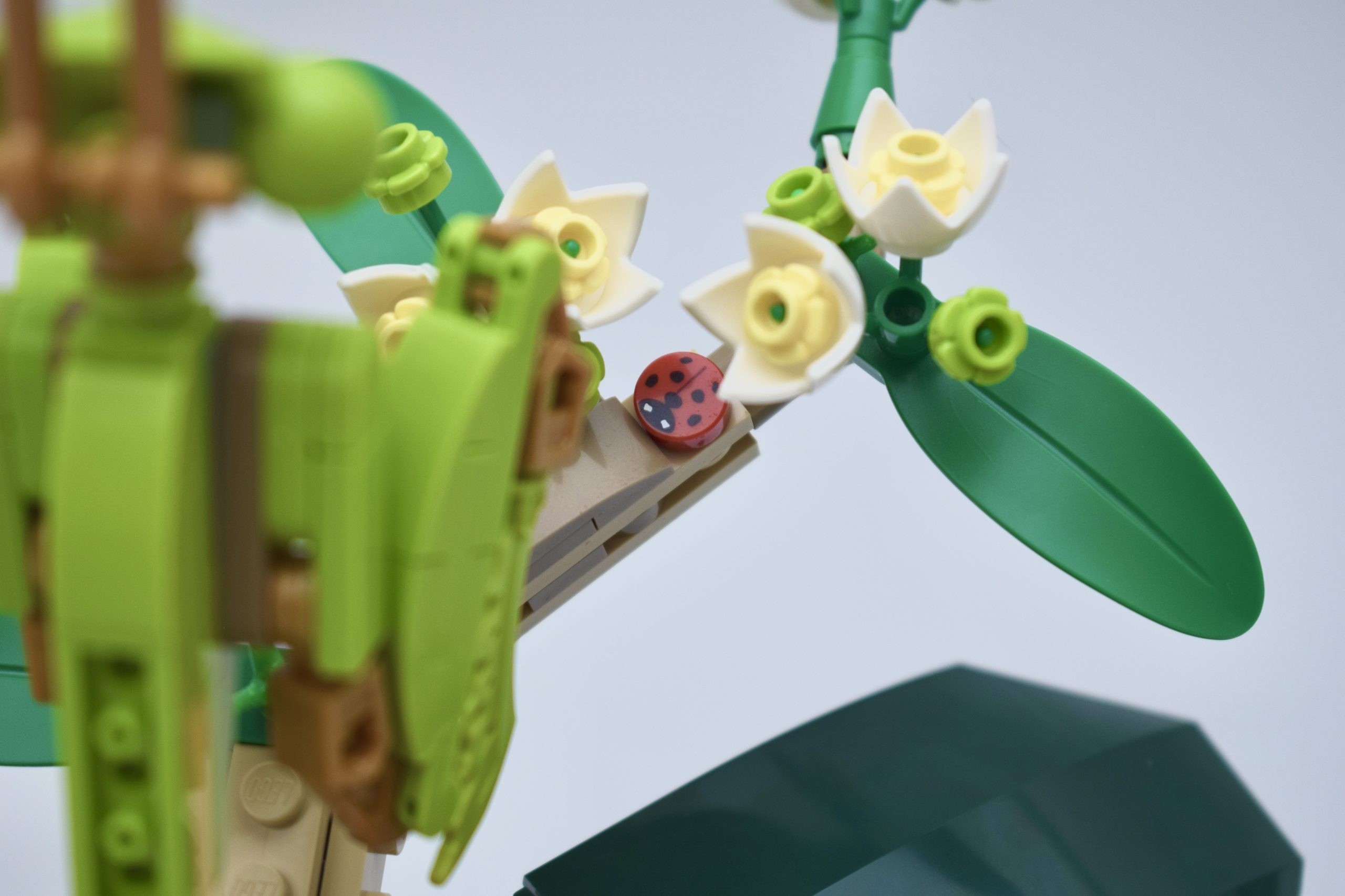 LEGO Ideas 21342 The Insect Collection review
