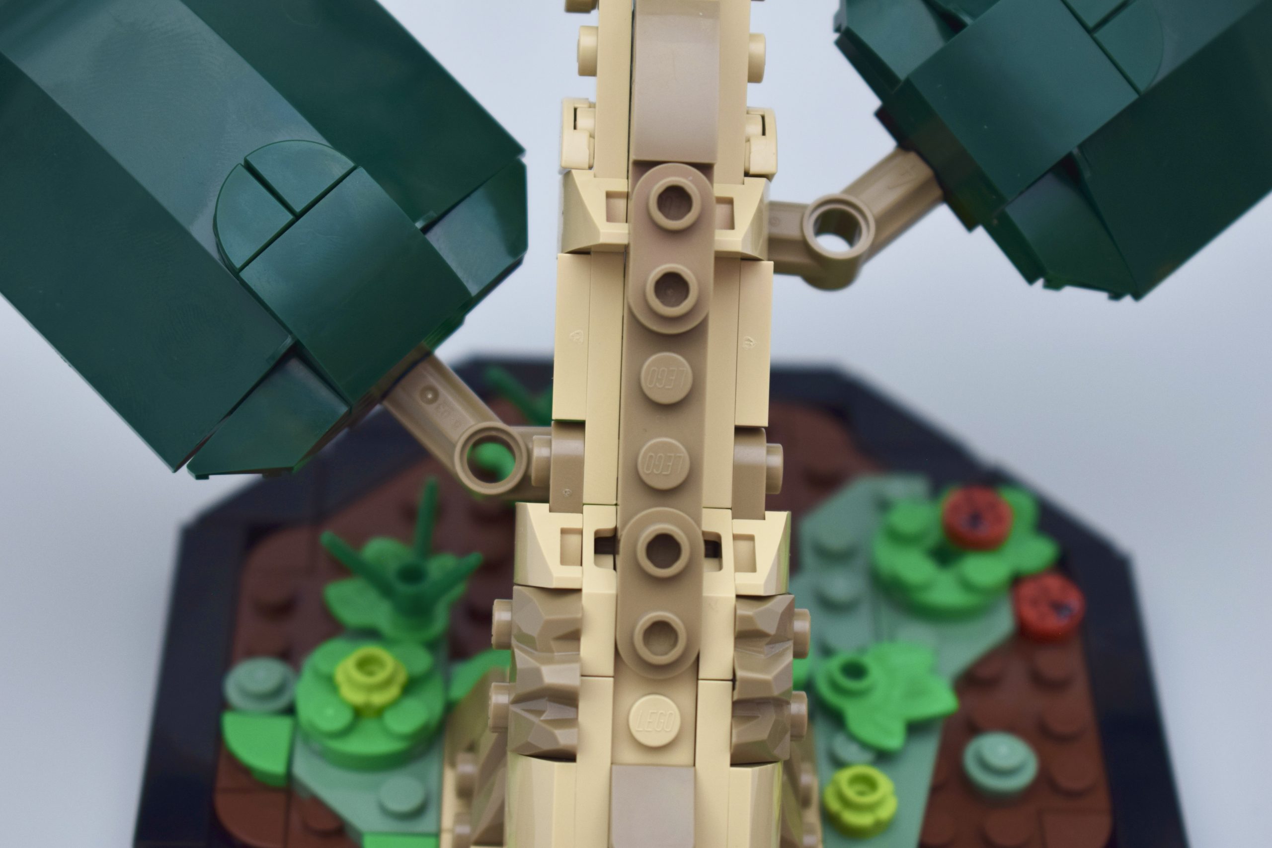 LEGO Ideas 21342 The Insect Collection review