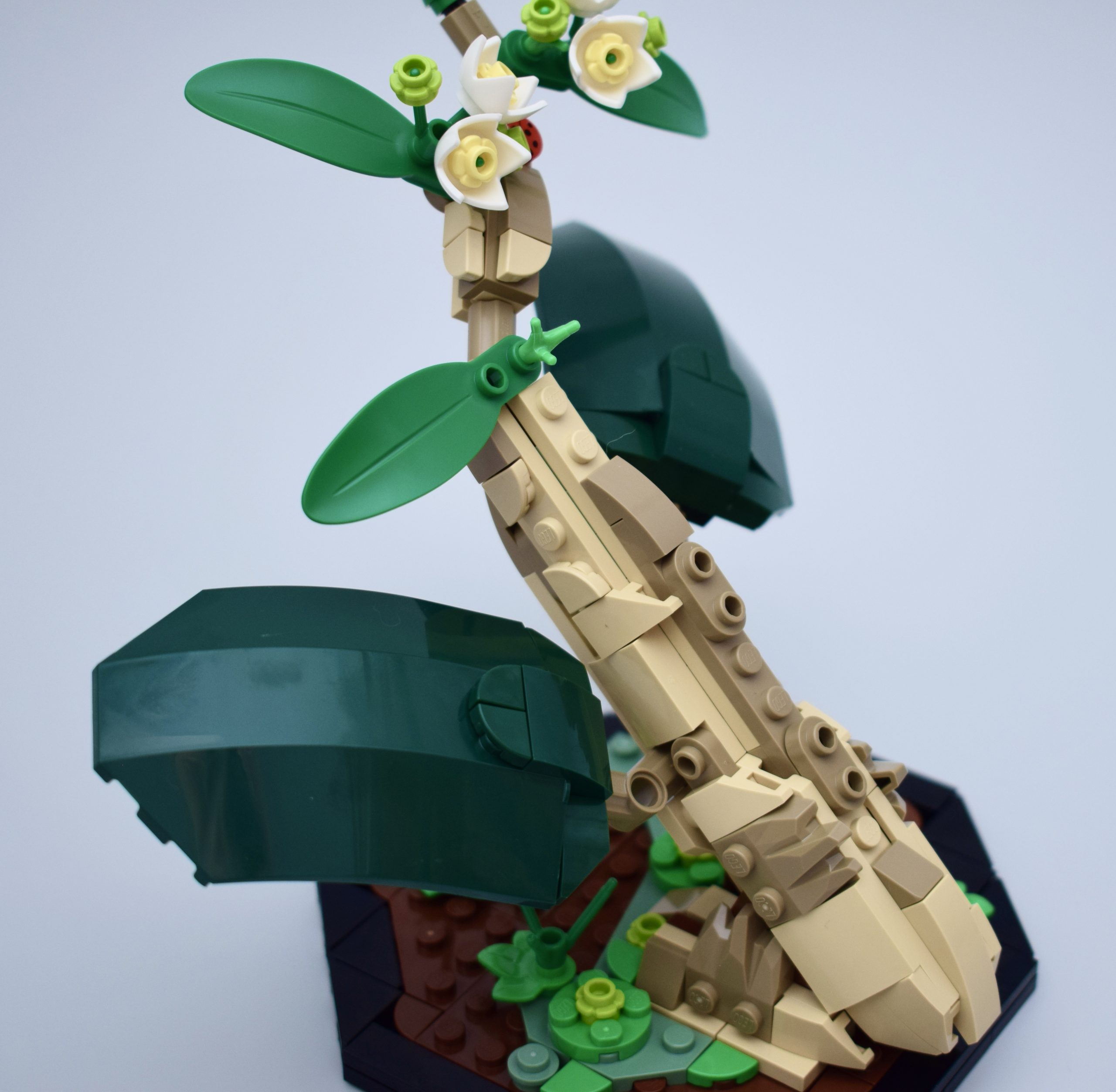 LEGO Ideas 21342 The Insect Collection review