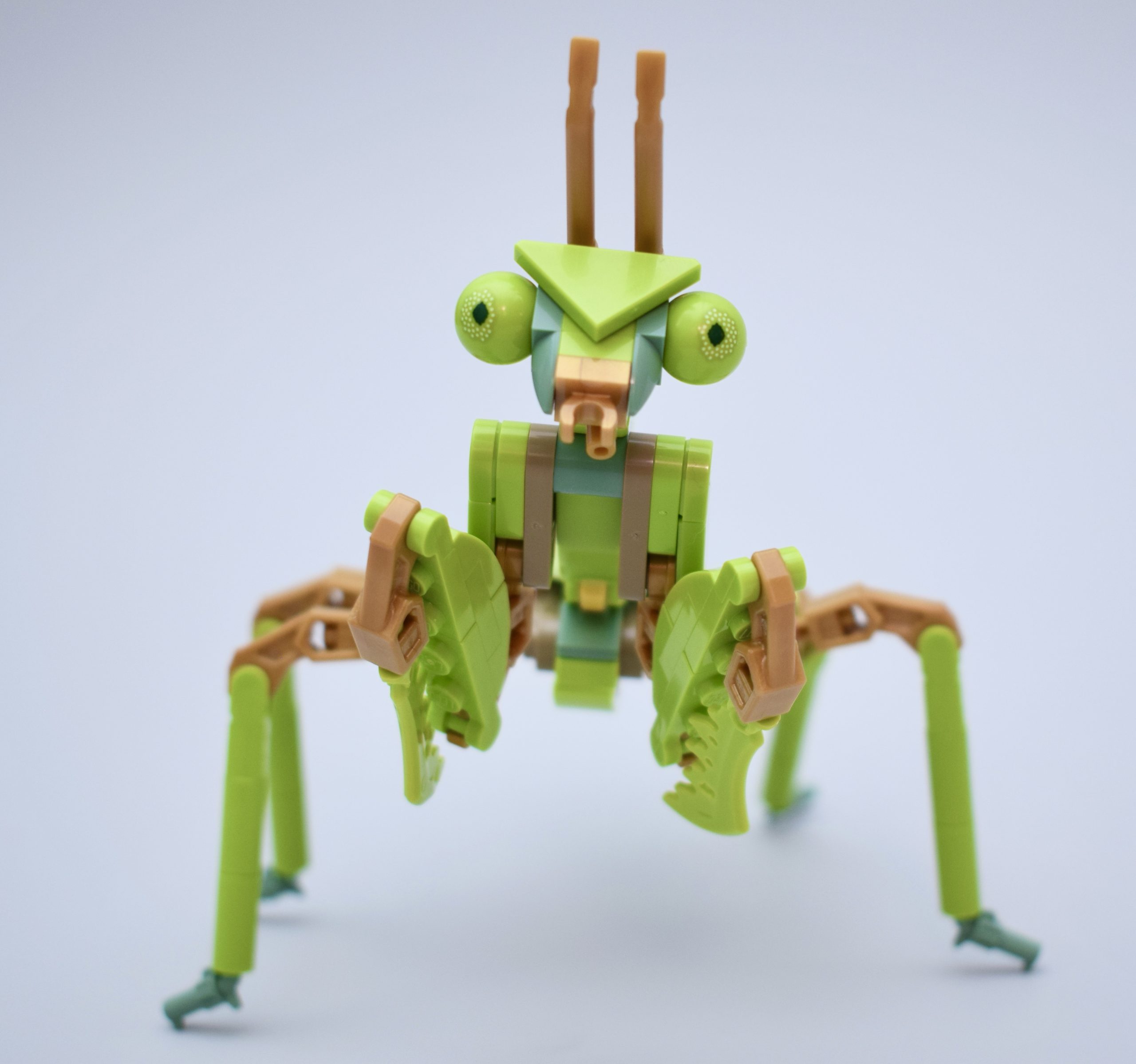 LEGO Ideas 21342 The Insect Collection review