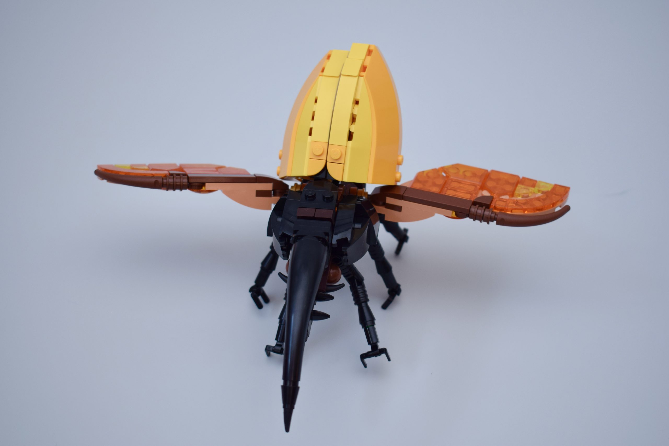 LEGO Ideas 21342 The Insect Collection review