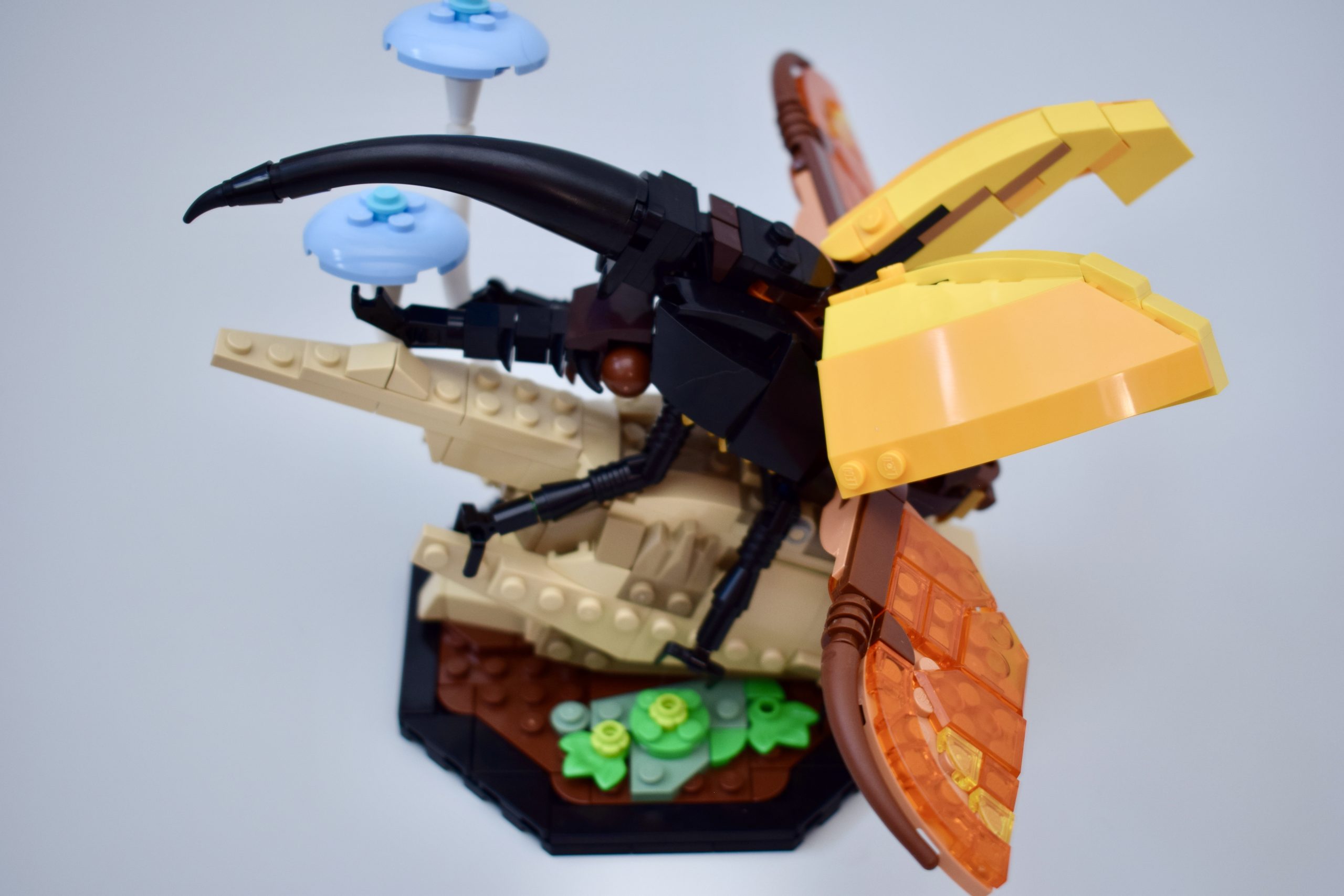 LEGO Ideas 21342 The Insect Collection review