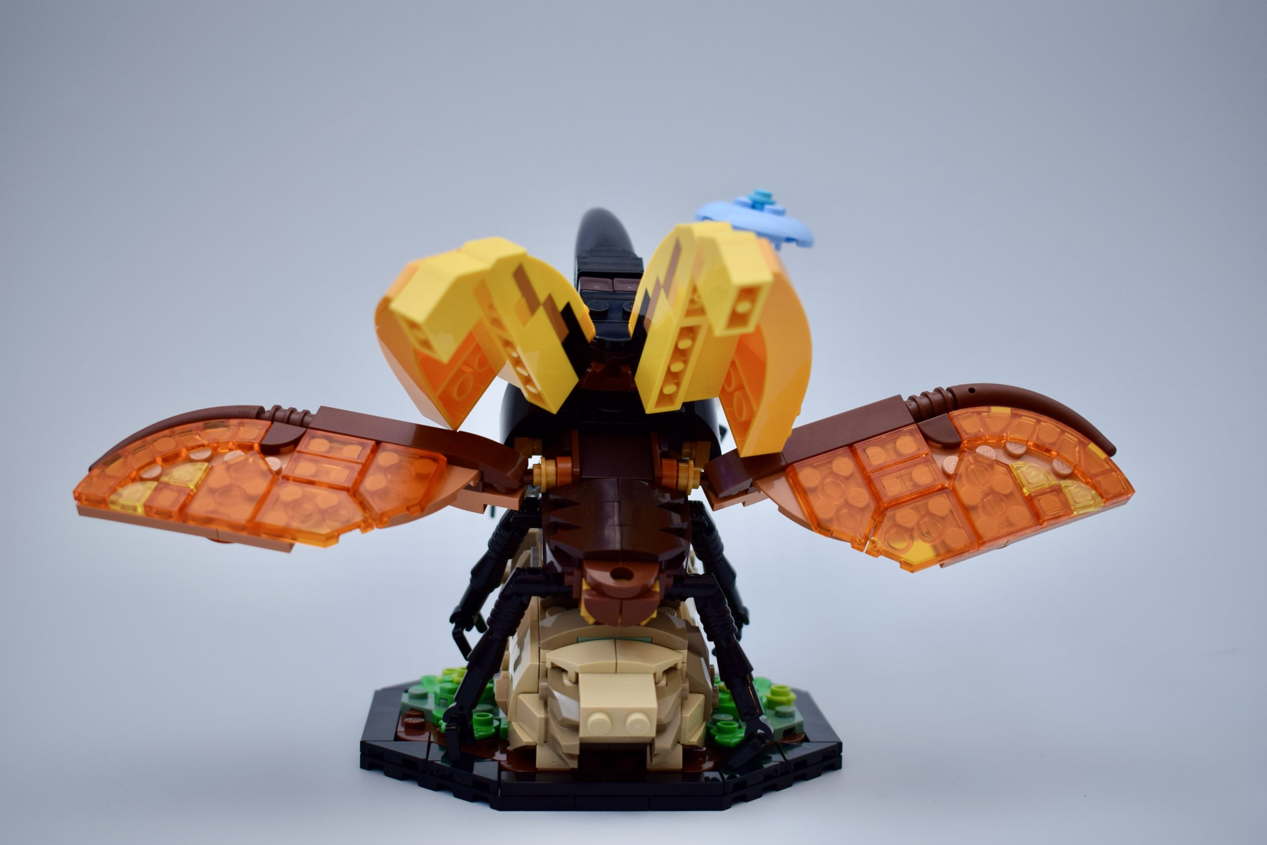 LEGO Ideas 21342 The Insect Collection review