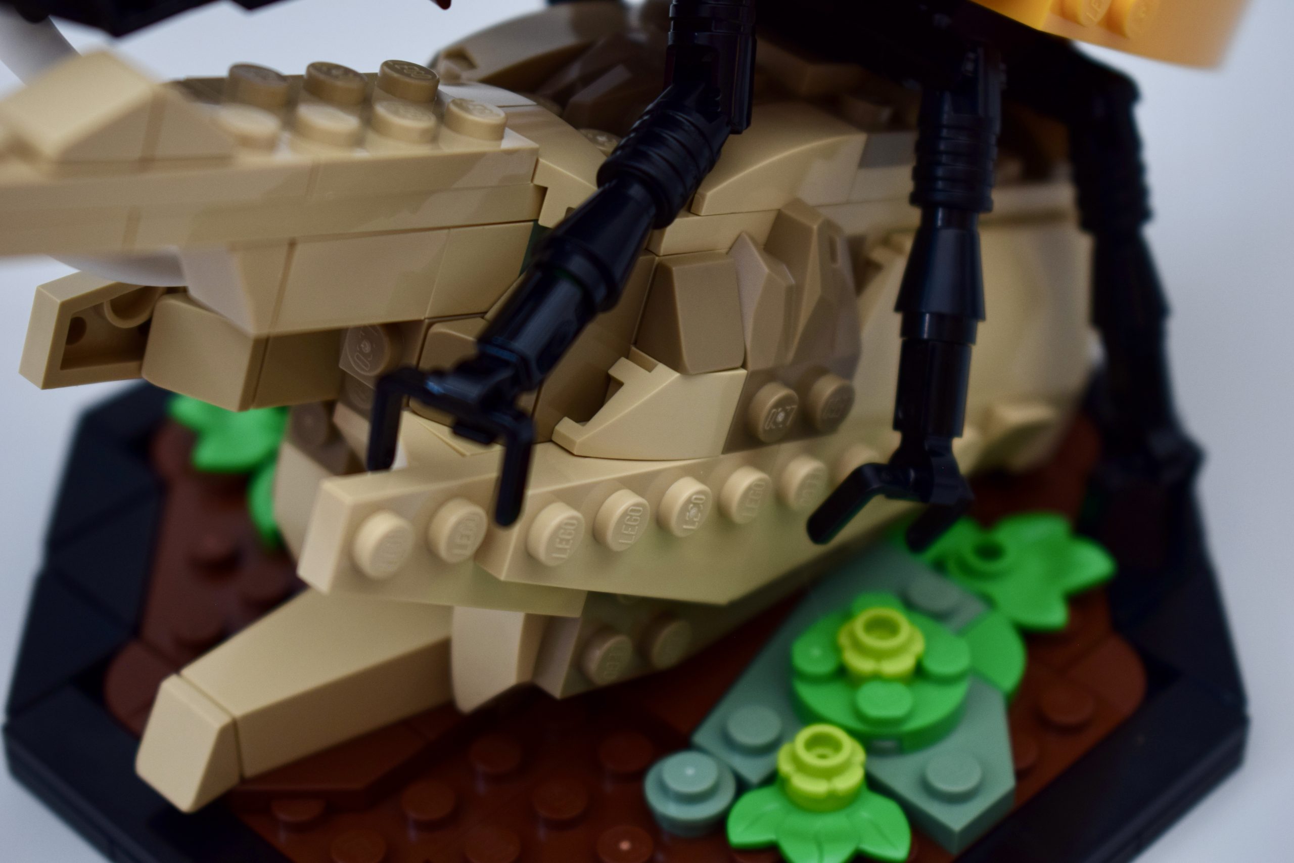 LEGO Ideas 21342 The Insect Collection review