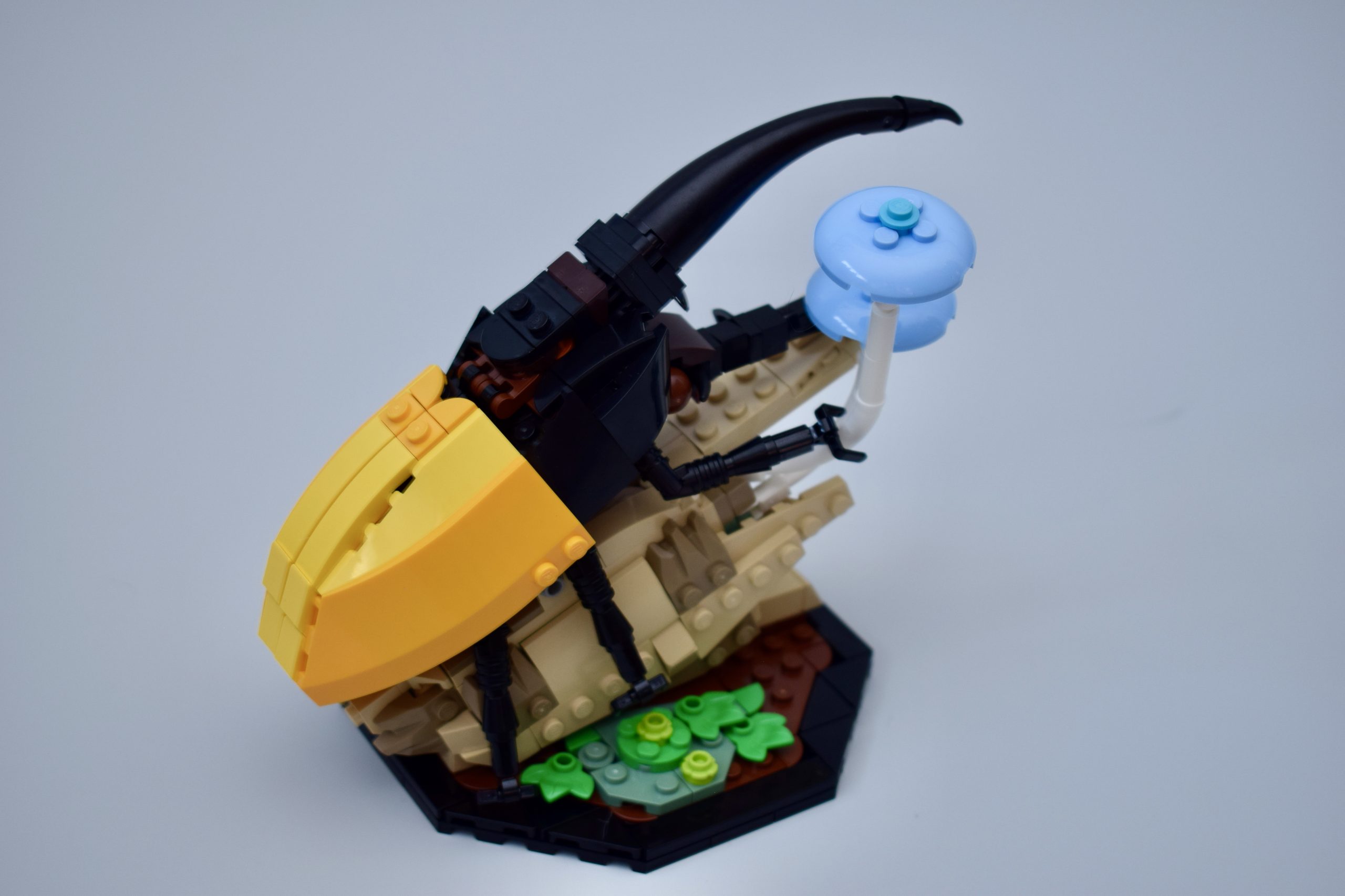 LEGO Ideas 21342 The Insect Collection review