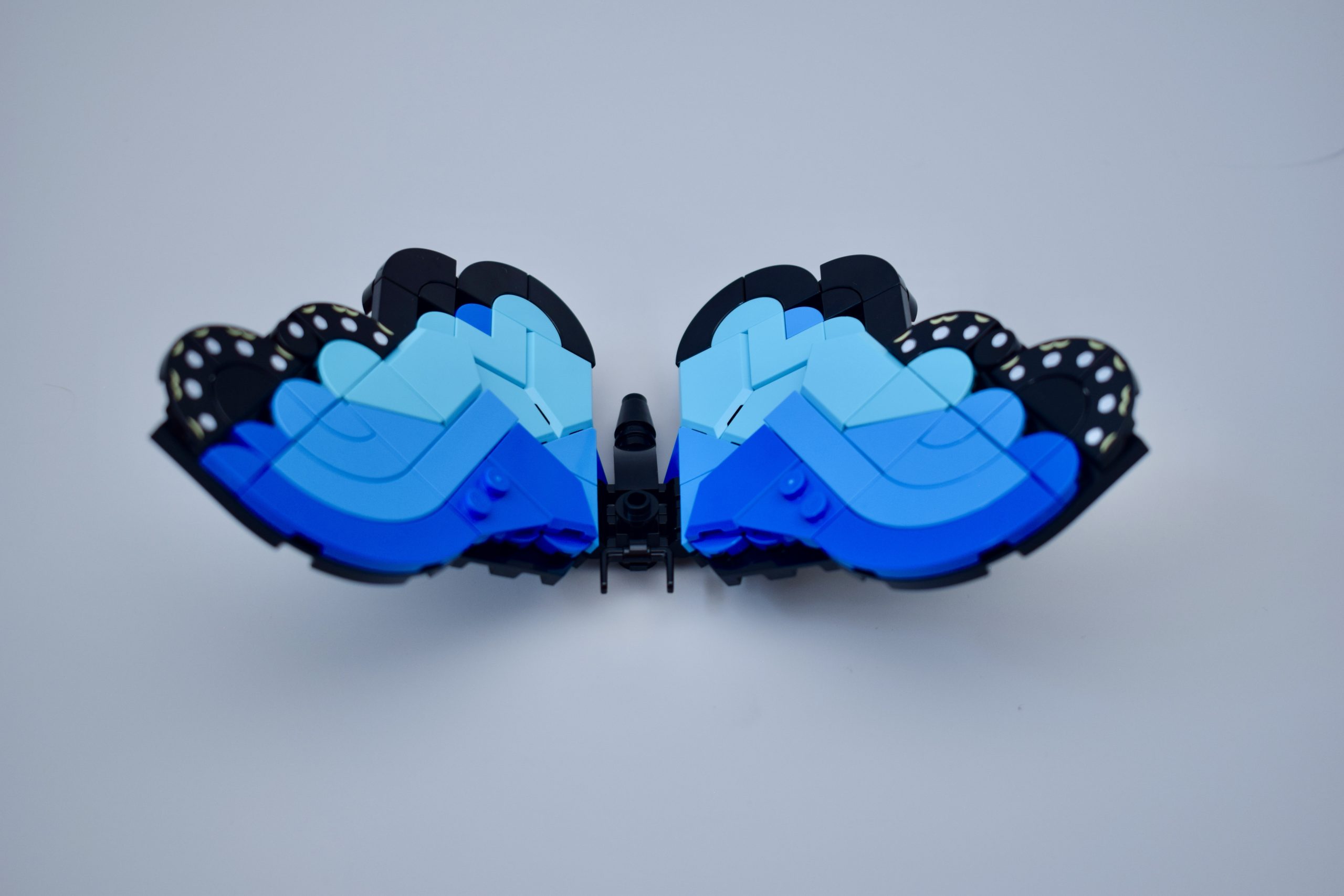 LEGO Ideas 21342 The Insect Collection review