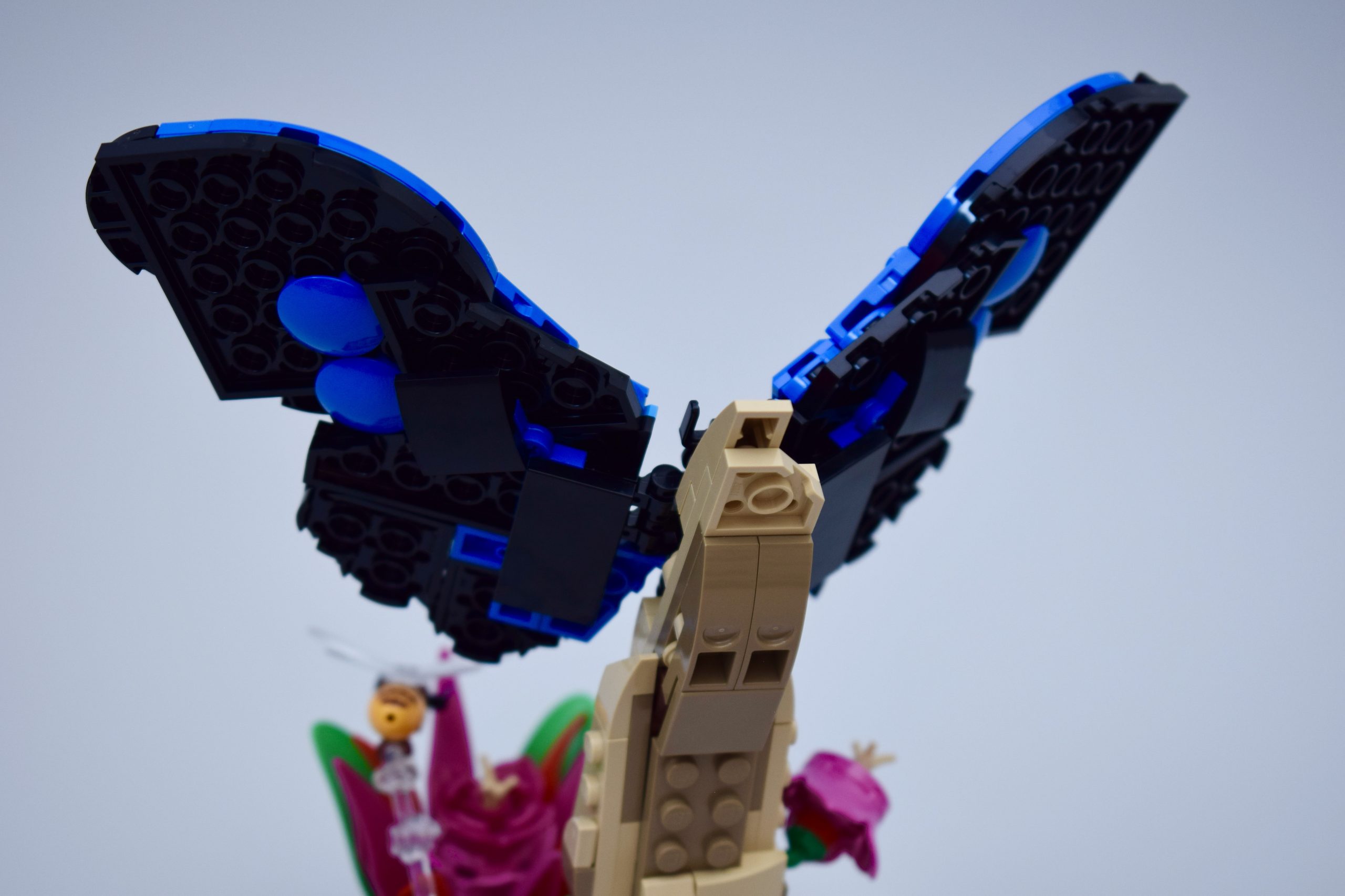 LEGO Ideas 21342 The Insect Collection review