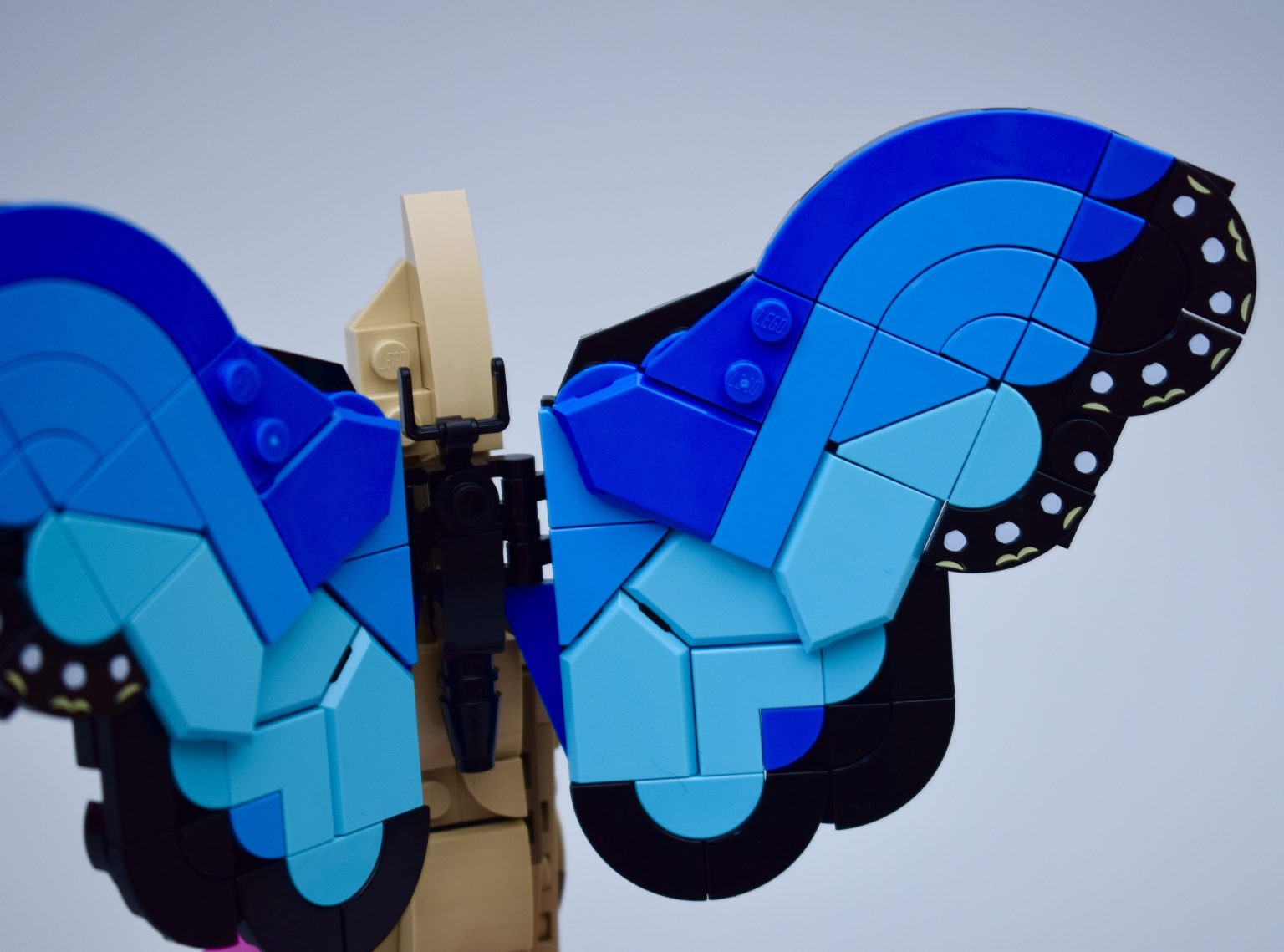 LEGO Ideas 21342 The Insect Collection review