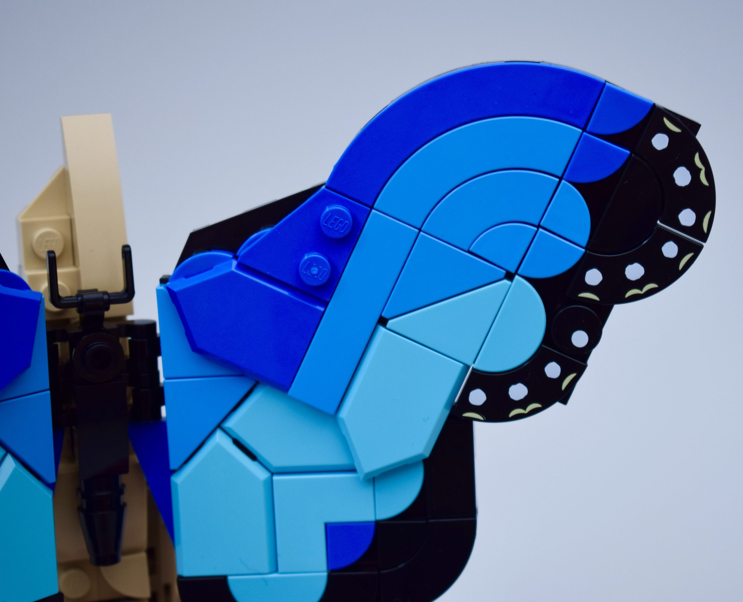 LEGO Ideas 21342 The Insect Collection review