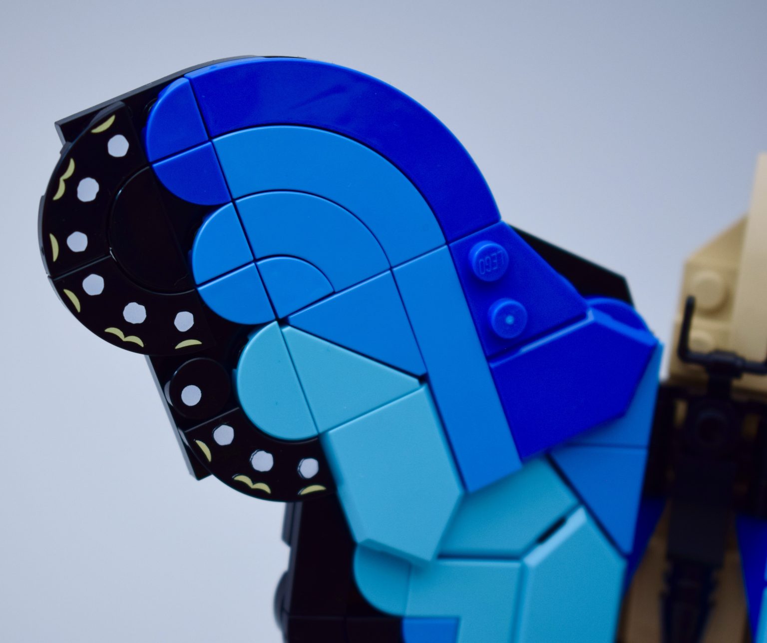 LEGO Ideas 21342 The Insect Collection review