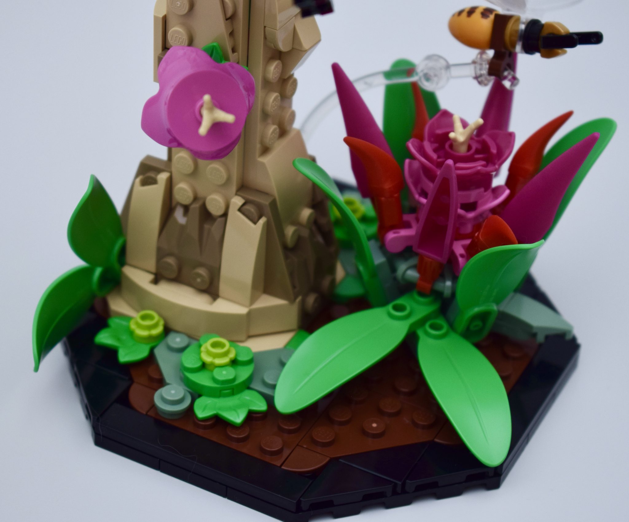 LEGO Ideas 21342 The Insect Collection review