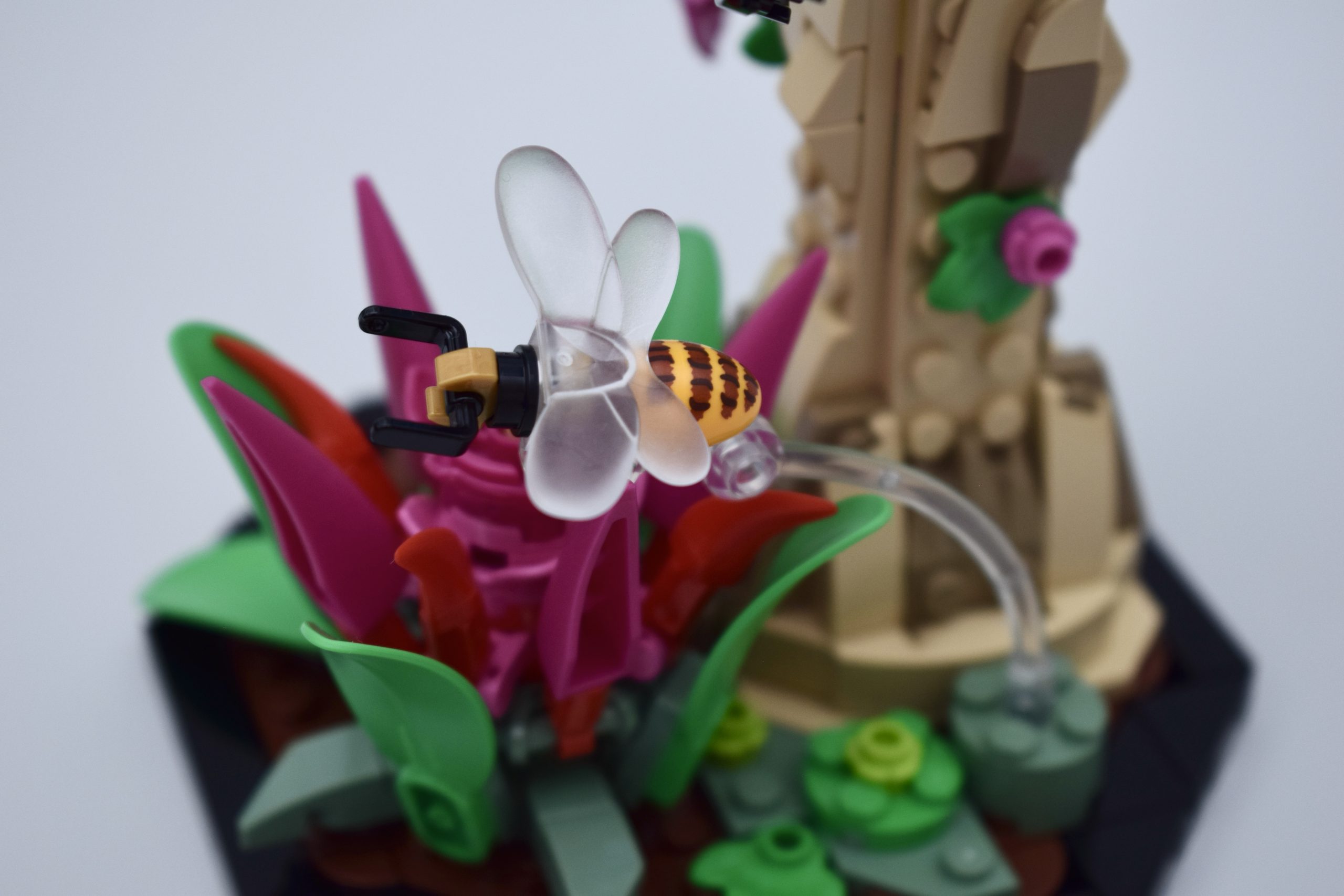 LEGO Ideas 21342 The Insect Collection review