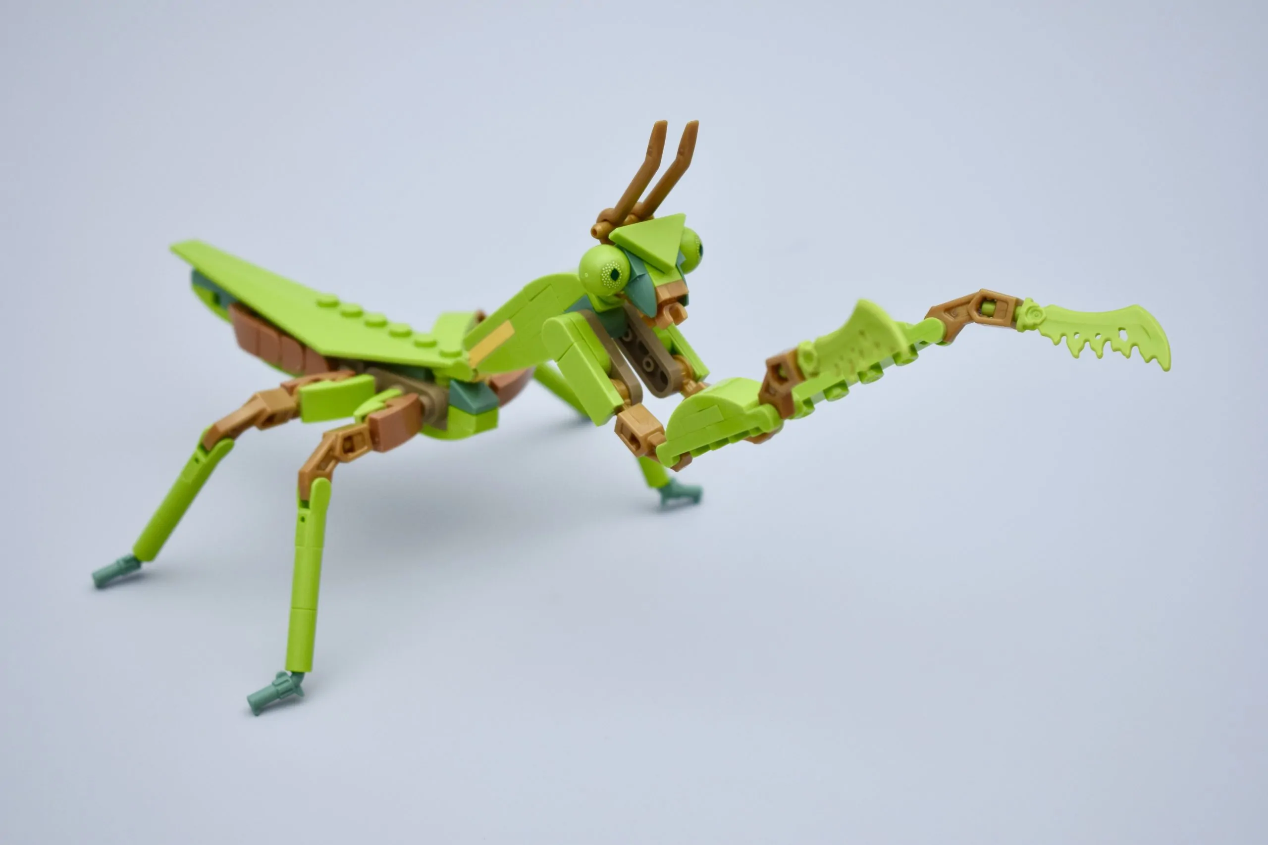 LEGO Ideas 21342 The Insect Collection review