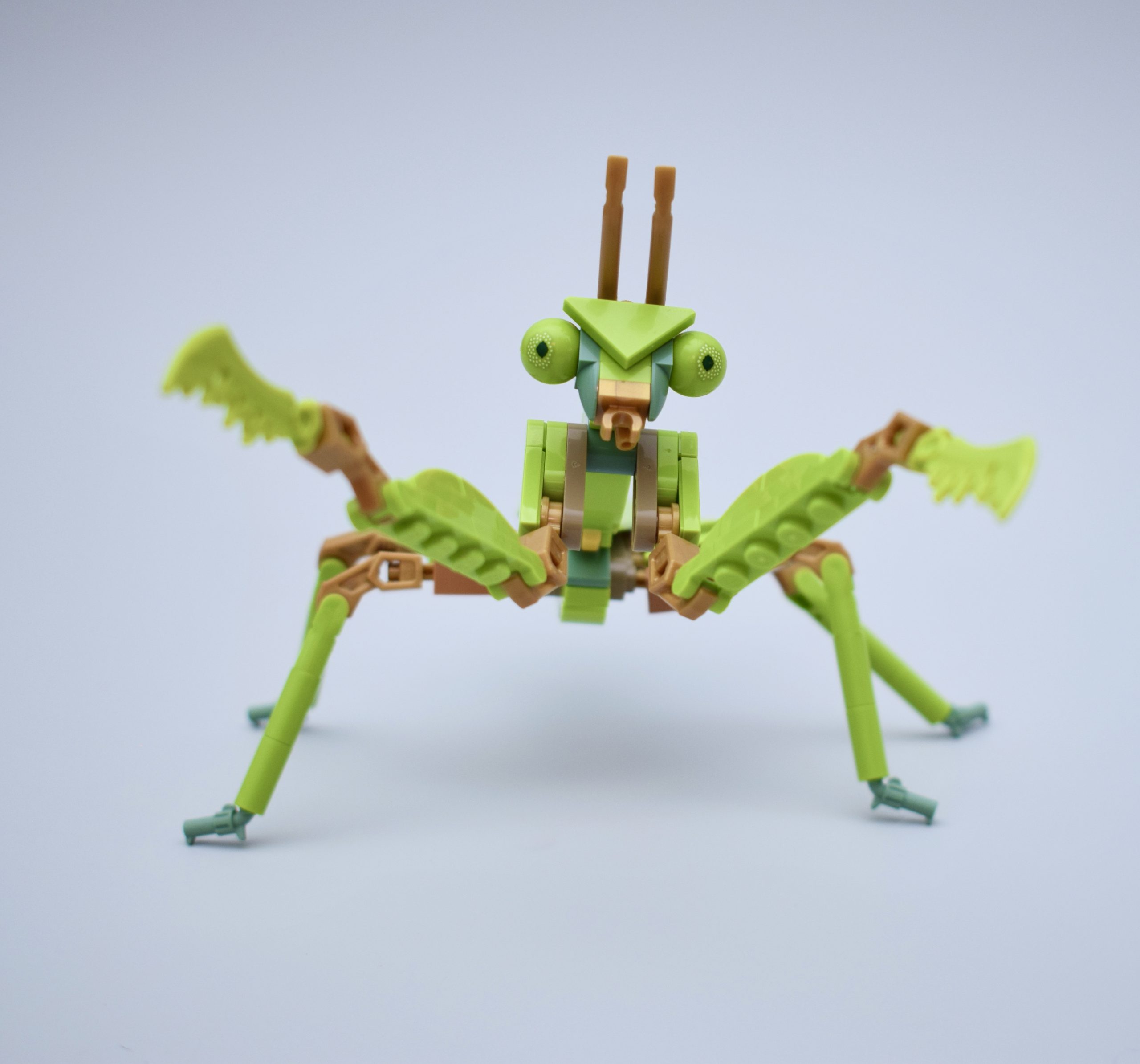 LEGO Ideas 21342 The Insect Collection review