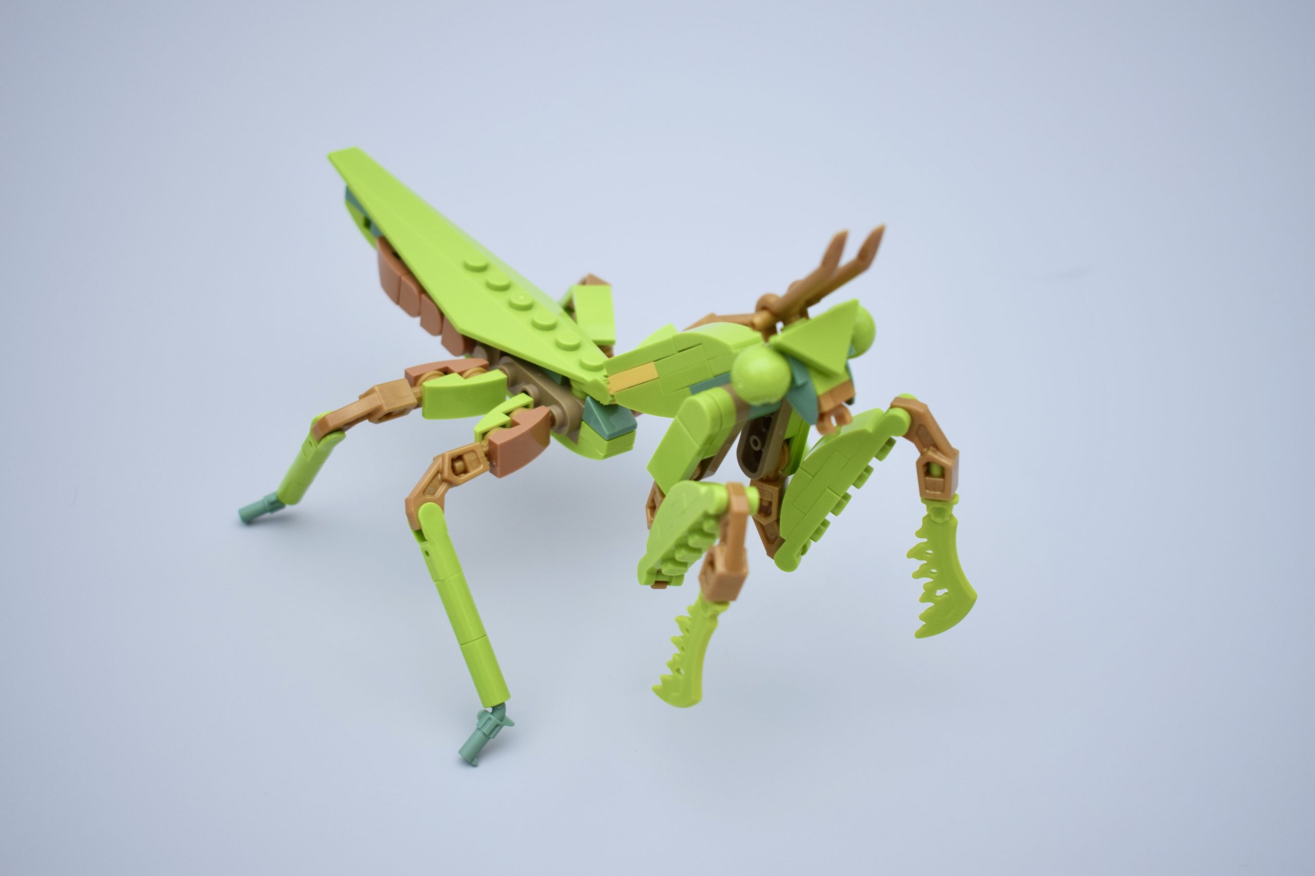 LEGO Ideas 21342 The Insect Collection review