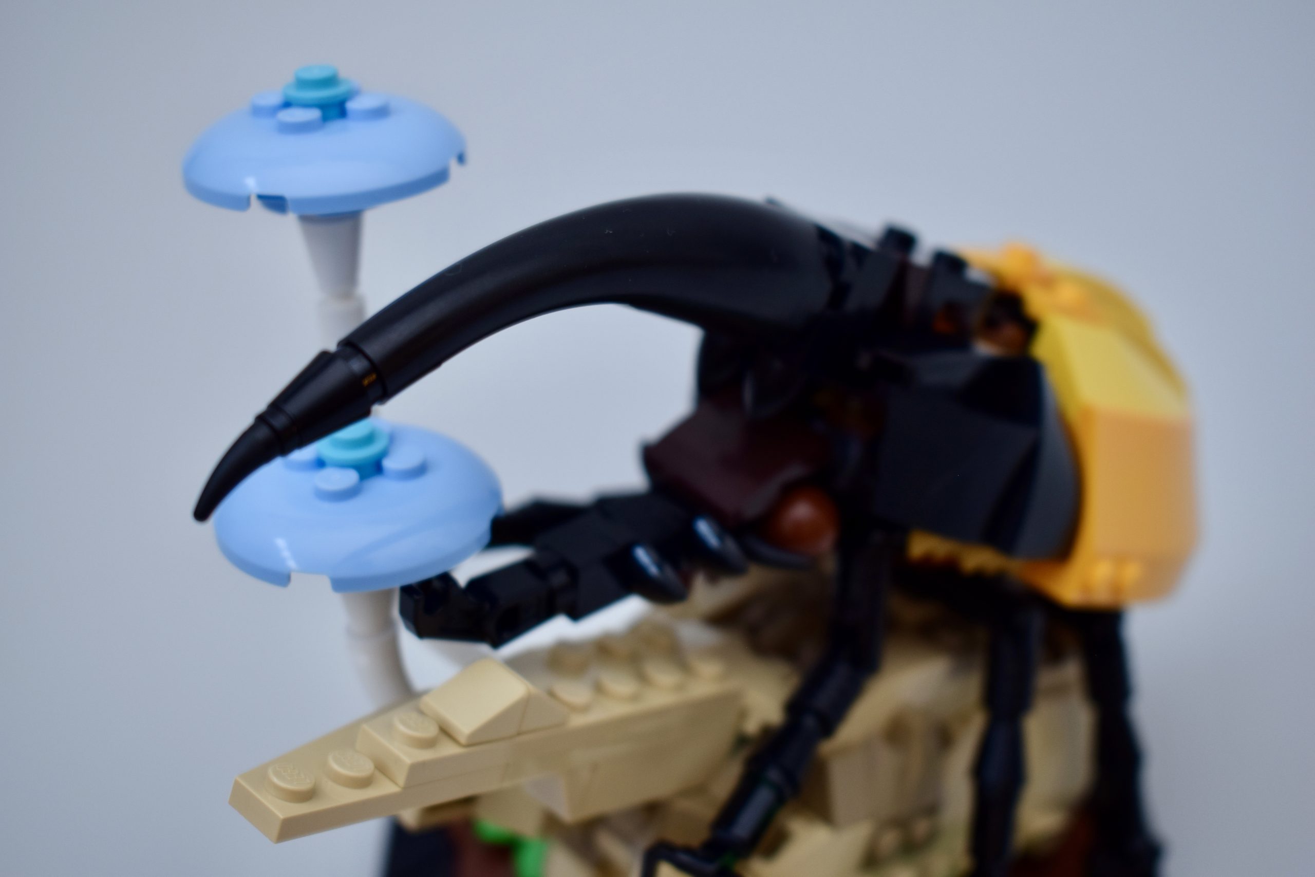 LEGO Ideas 21342 The Insect Collection review