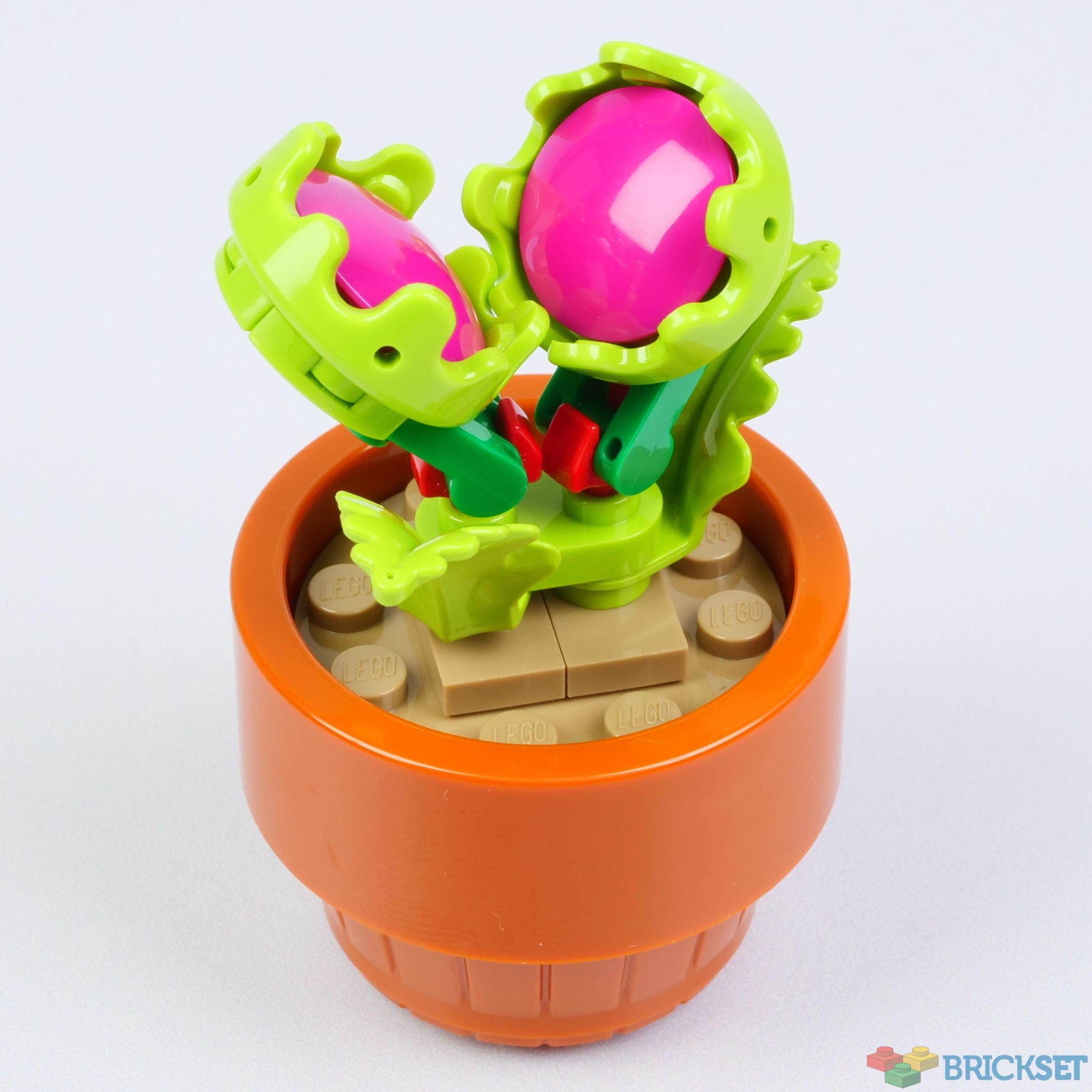 LEGO Botanical Collection 10329 Tiny Plants is more pot than plant
