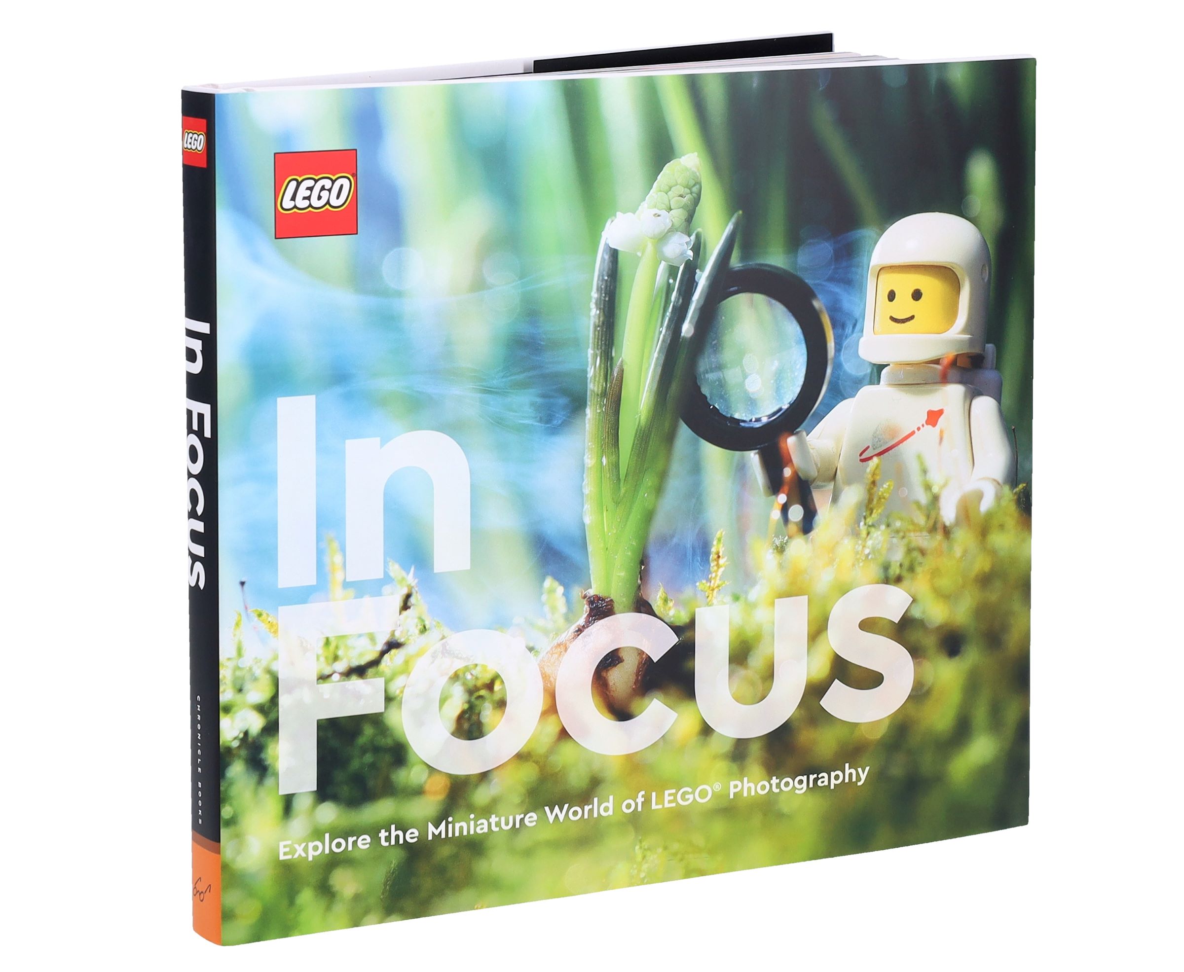 5007642 LEGO In Focus LEGO Set