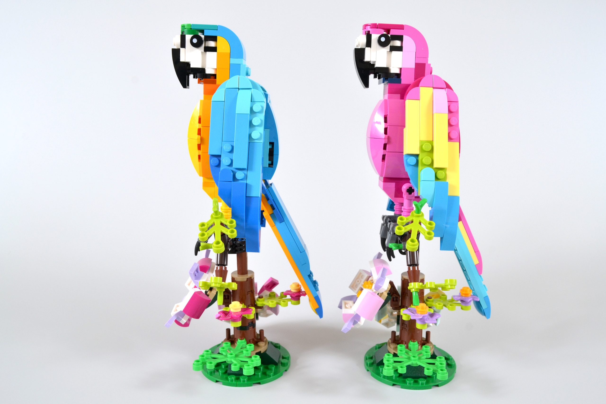 LEGO Creator 3-in-1 Exotic Parrots go head-to-head