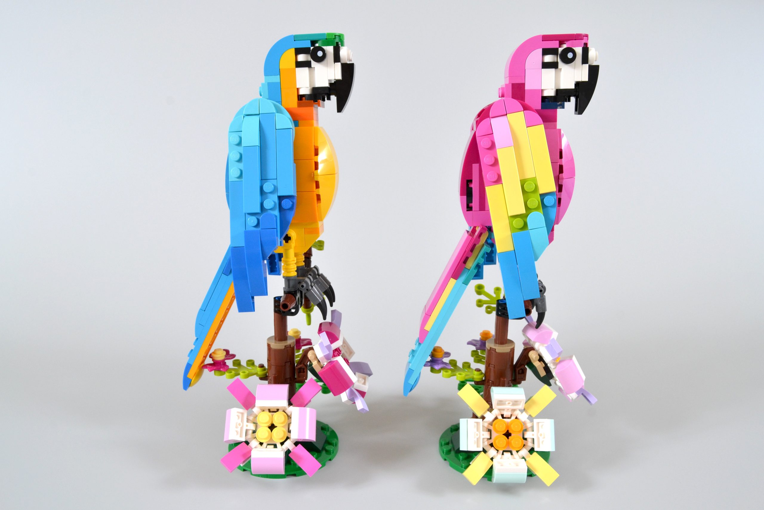 LEGO Creator 3-in-1 Exotic Parrots go head-to-head