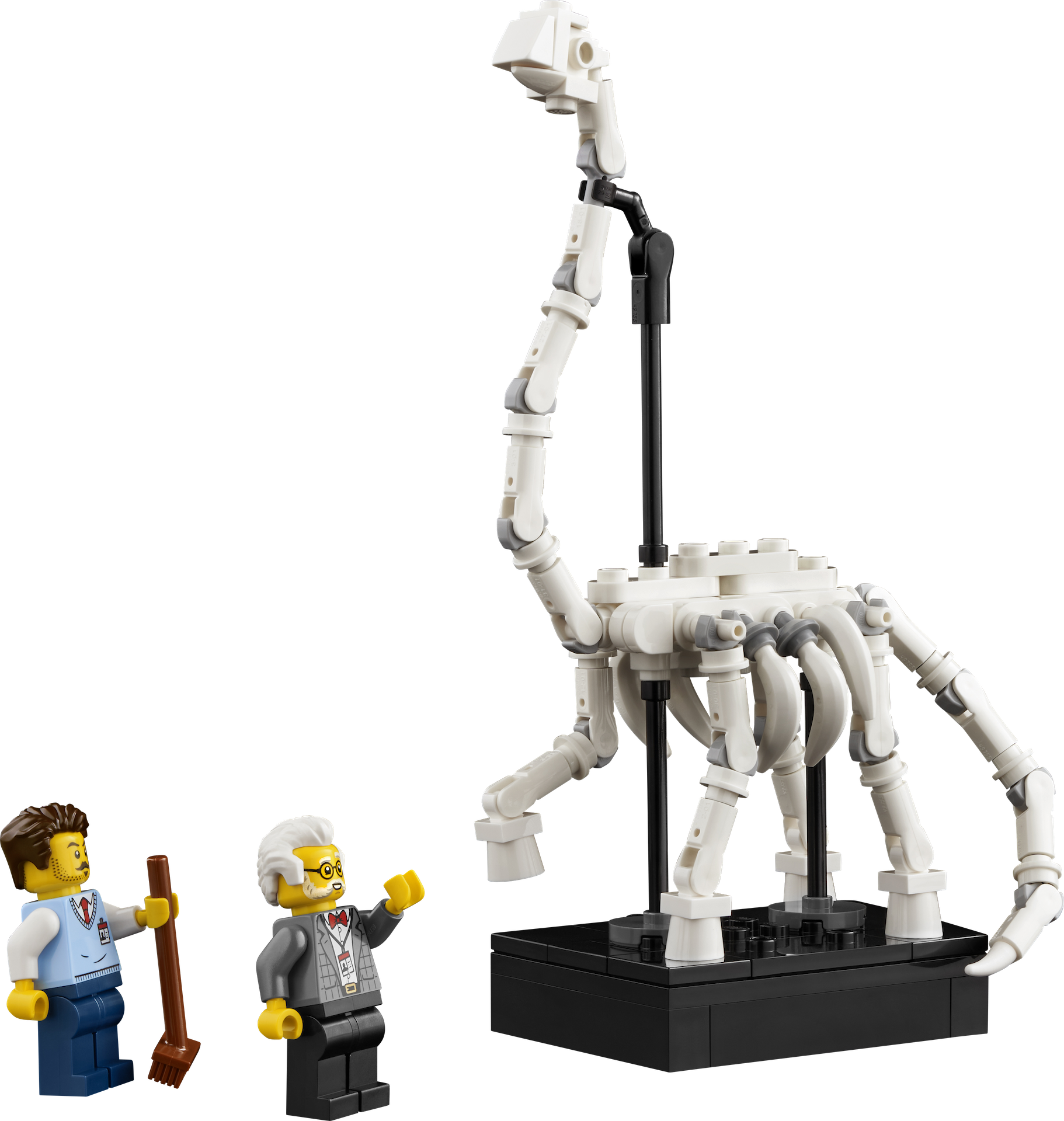 LEGO Icons 10326 Natural History Museum officially revealed