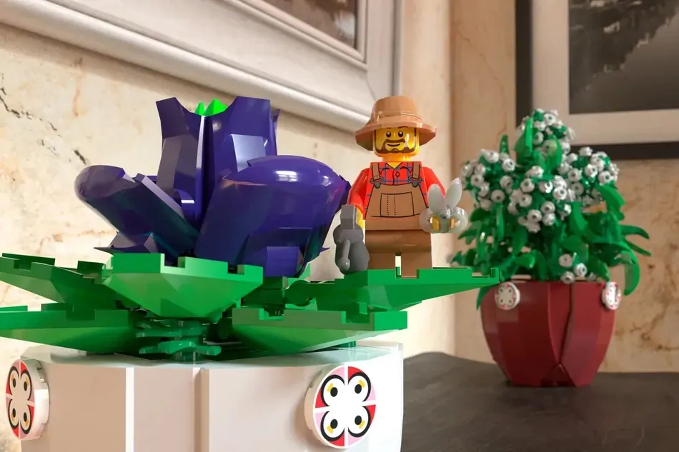 Prolific LEGO Ideas fan designer gets first entry to current review stage