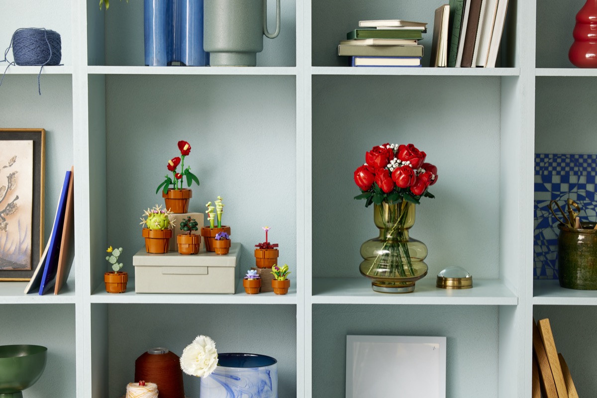 First LEGO Botanical Plant set for 2024 officially revealed