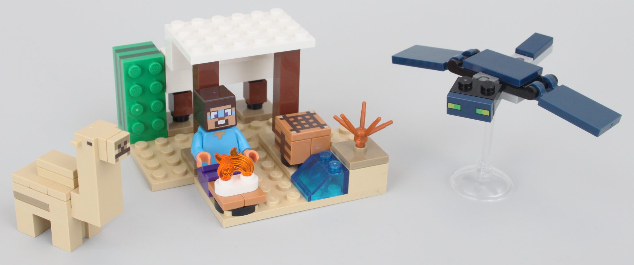 LEGO Minecraft 21251 Steve's Desert Expedition review
