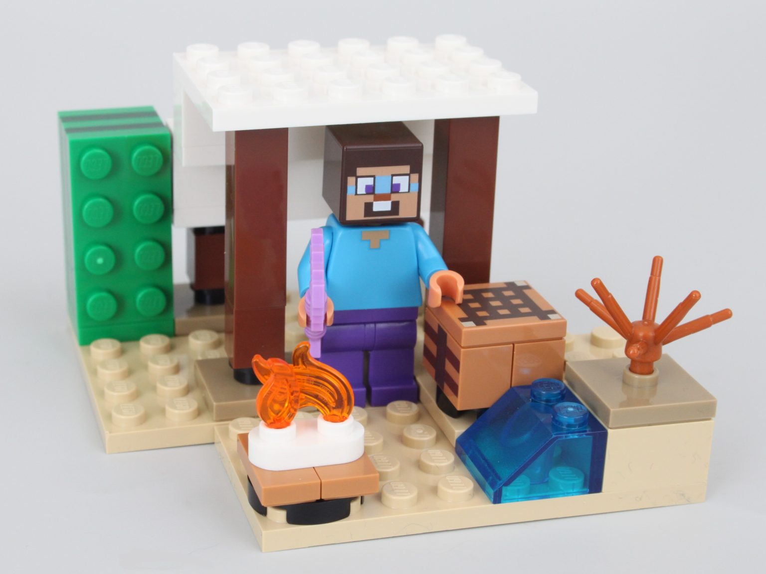 LEGO Minecraft 21251 Steve's Desert Expedition review